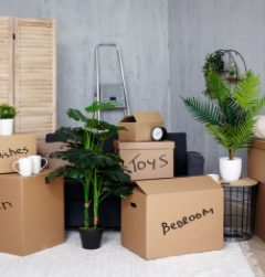 Storage Box NZ | Secure Storage Solutions | Store Ur Box